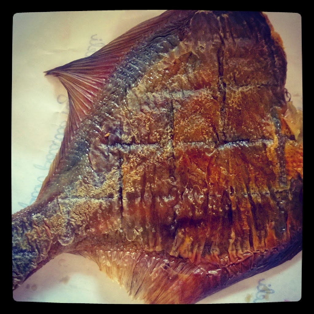 Savukampela ja Kampelalevite